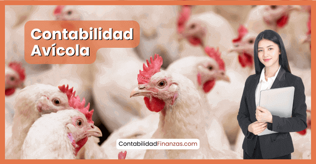 Contabilidad Avícola: Qué es, ejemplos, caso práctico y demás